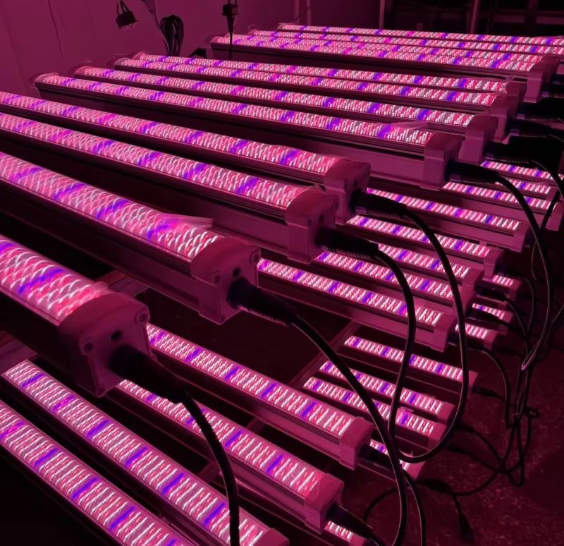 ไฟปลูกพืช LED 160W ใต้หลังคาสำหรับการปลูกเชิงพาณิชย์ เพิ่มการเจริญ ...